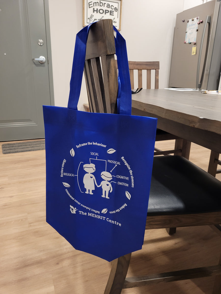 Reusable Self-Reg Framework Bag – The MEHRIT Centre