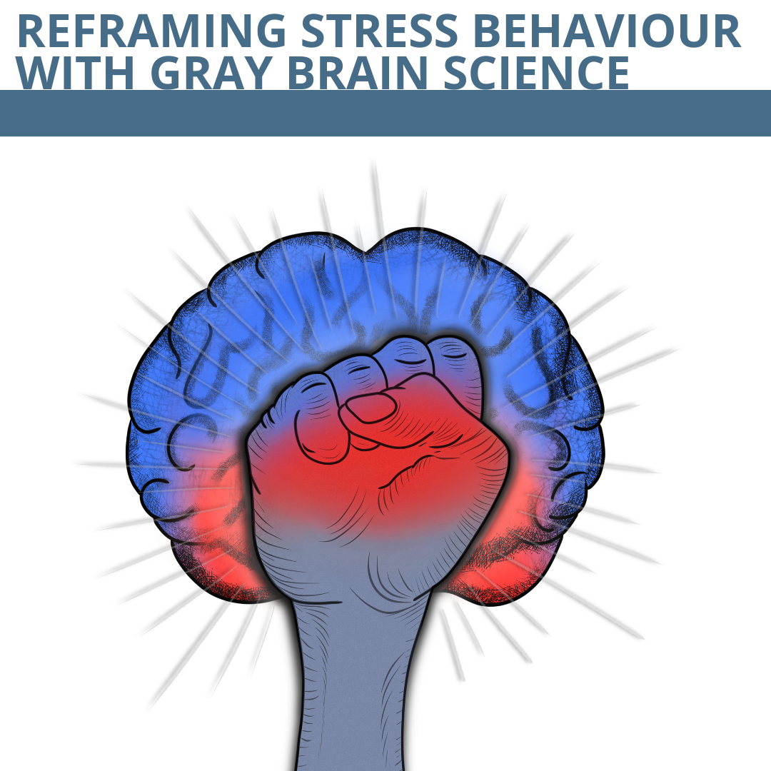 Reframing Stress Behaviour with Gray Brain Science – The MEHRIT Centre