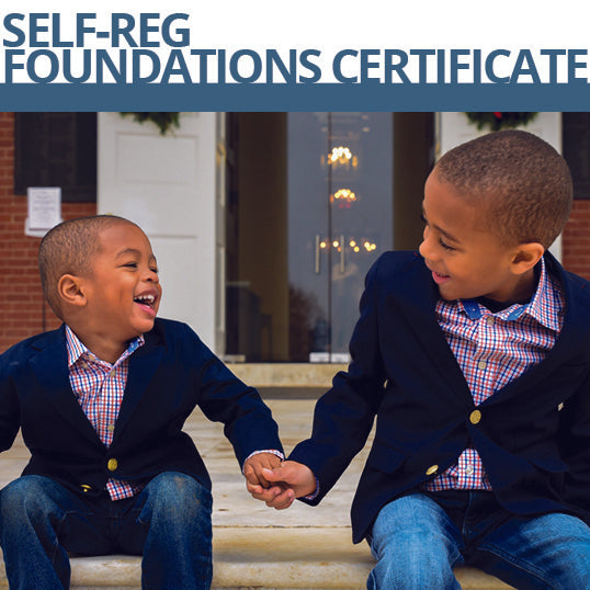 Self-Reg Foundations Certificate Program – The MEHRIT Centre